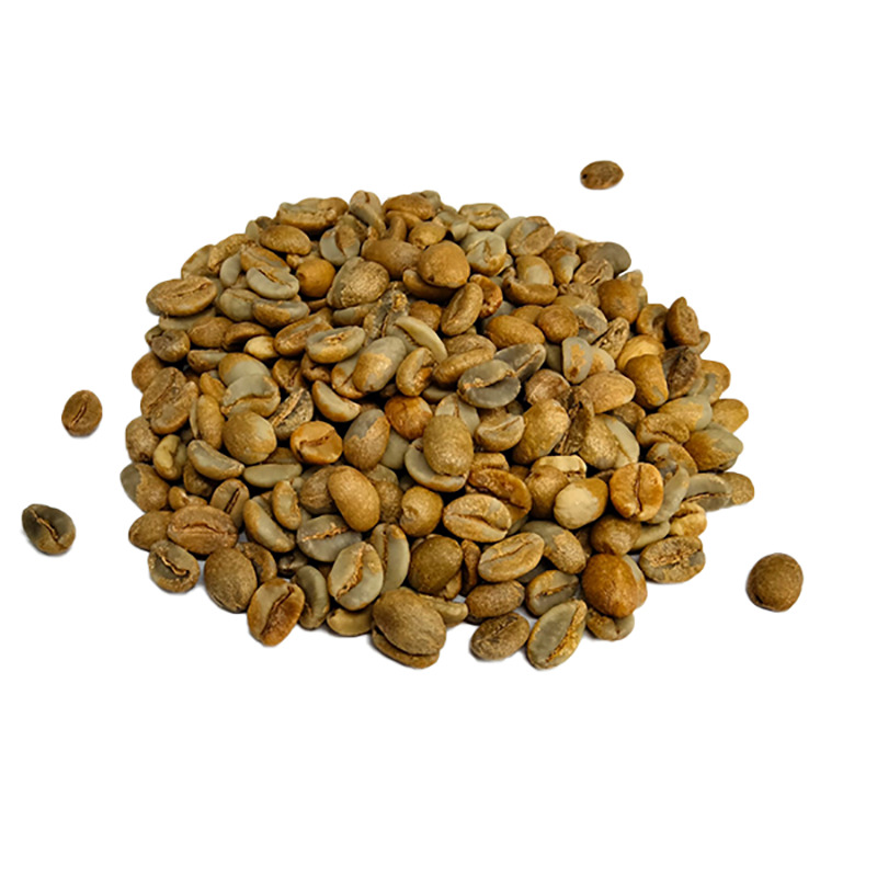 Mekbuda AFRE - Mare Terra