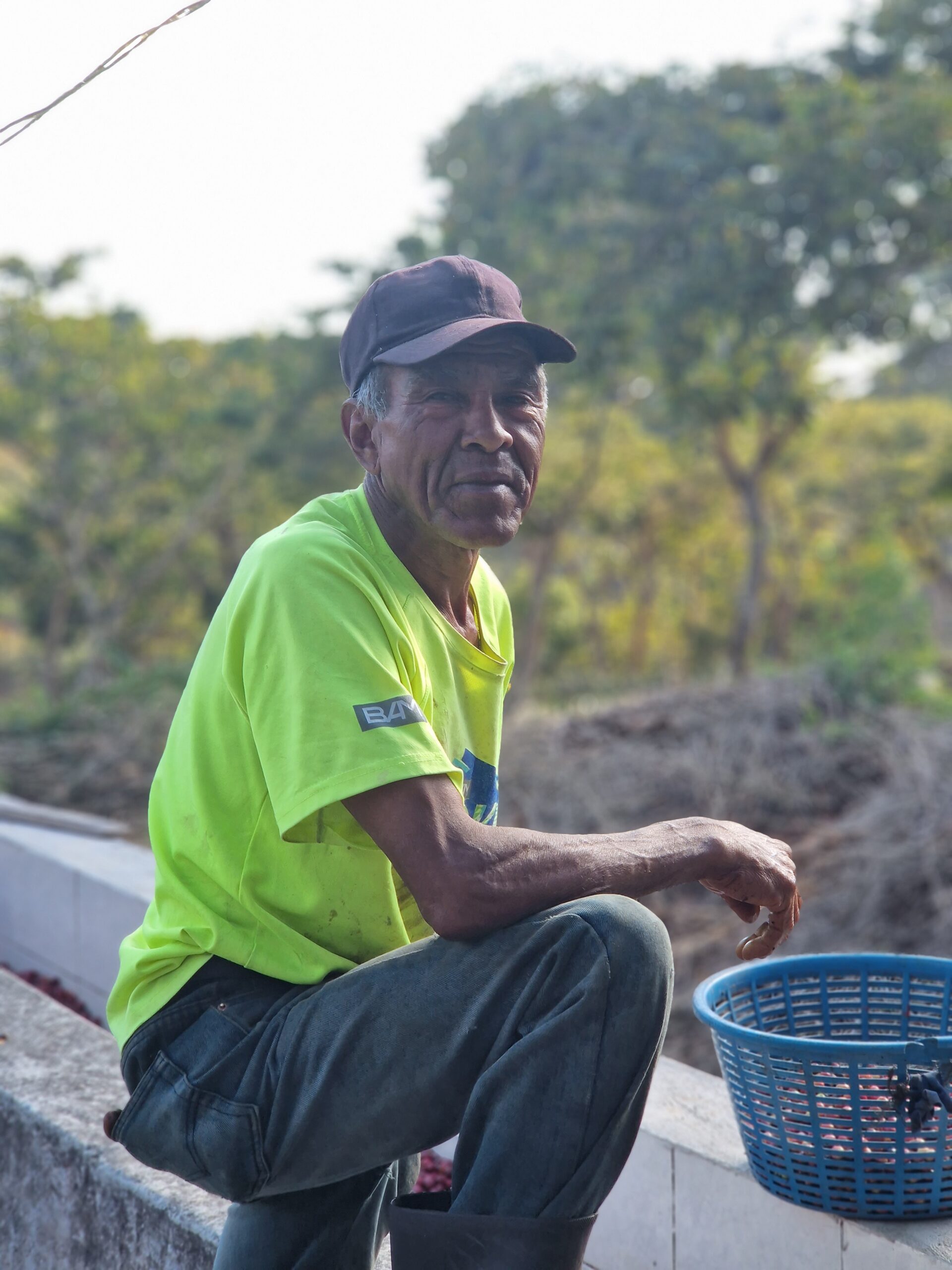 Our projects in Guatemala for the new harvest - Mare Terra Coffee