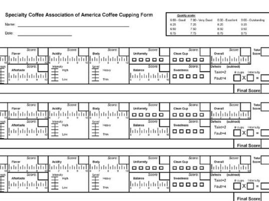 SCA Scoring Protocol - Mare Terra Coffee