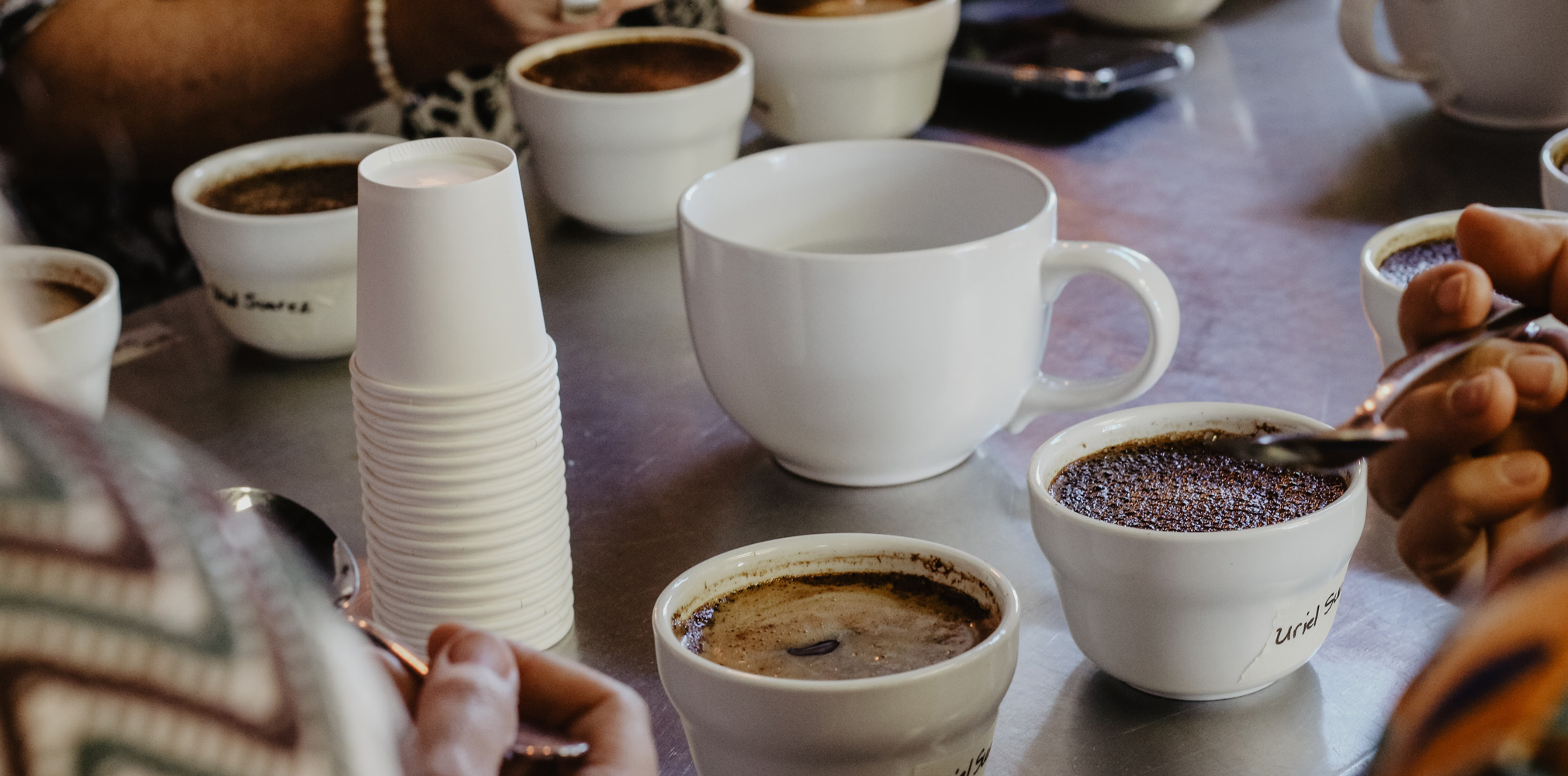 Have you ever wondered how coffee is tasted? - Mare Terra Coffee