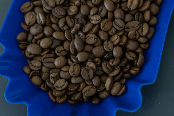 Tipos de tueste - Mare Terra Coffee