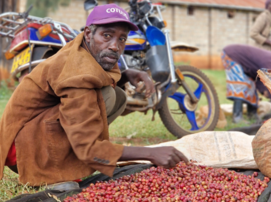 The importance of traceability in the specialty coffee industry - Mare ...