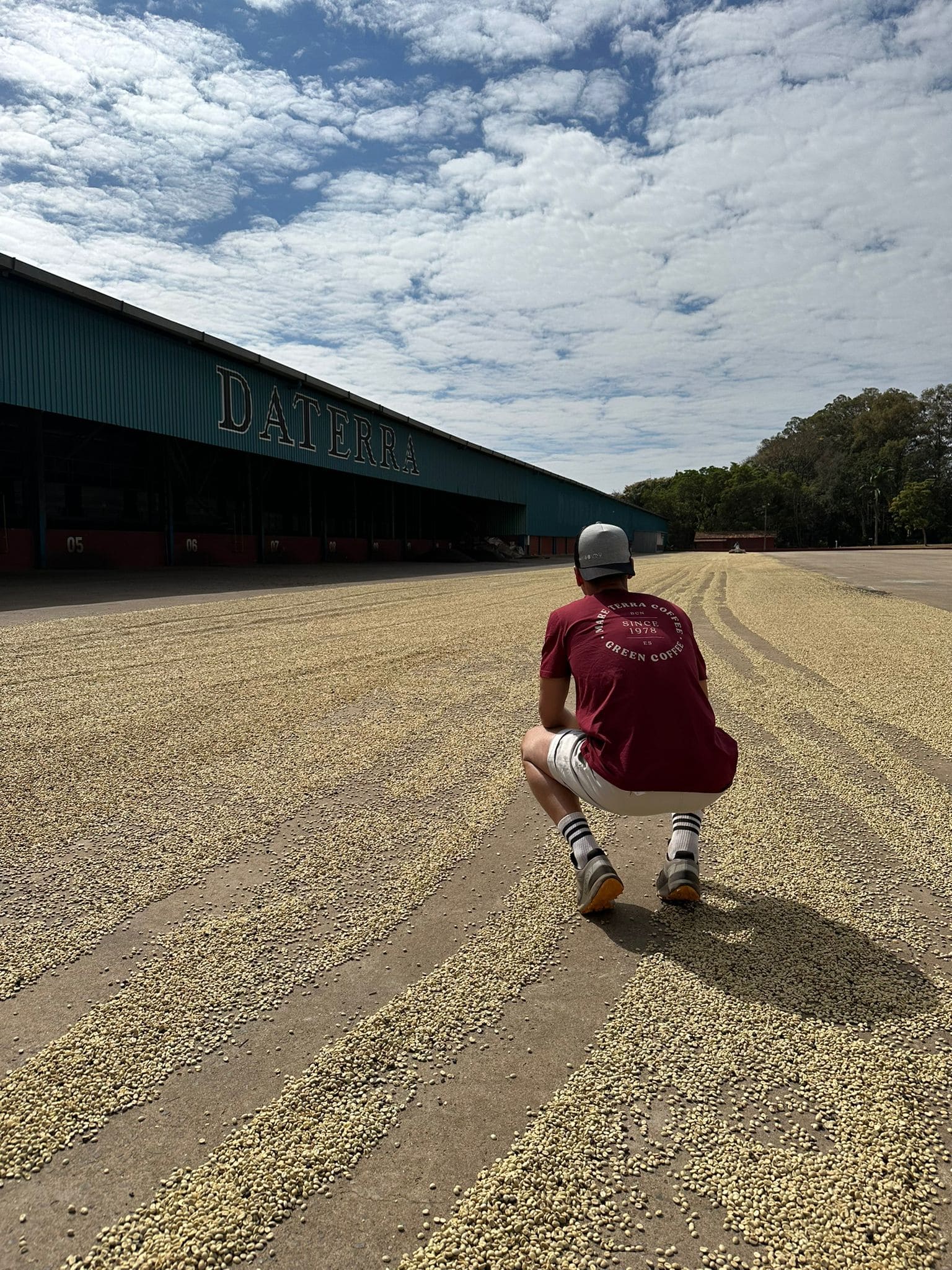 We visited Daterra Coffee in Brazil - Mare Terra Coffee