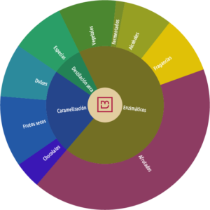 Rueda de Descriptores del Café Verde - Mare Terra Coffee