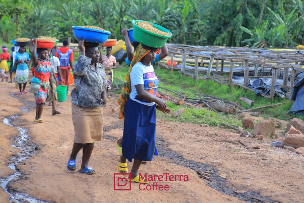 Breast Cancer Prevention Project in Rwanda - Mare Terra Coffee