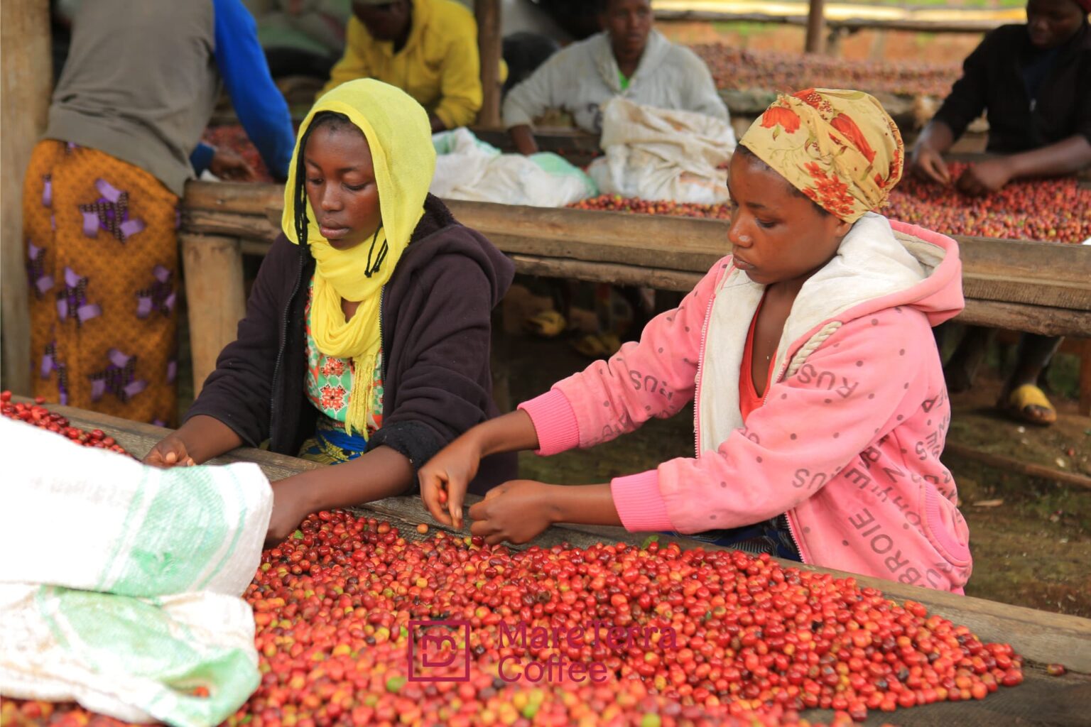 Breast Cancer Prevention Project in Rwanda - Mare Terra Coffee