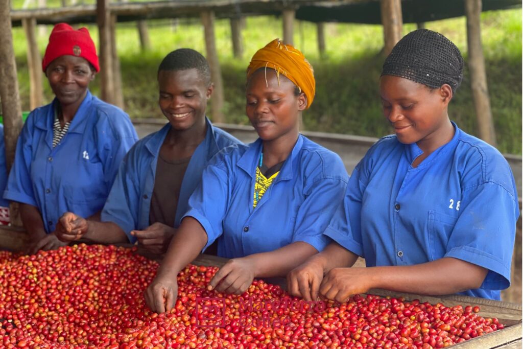 Breast Cancer Prevention Project in Rwanda - Mare Terra Coffee