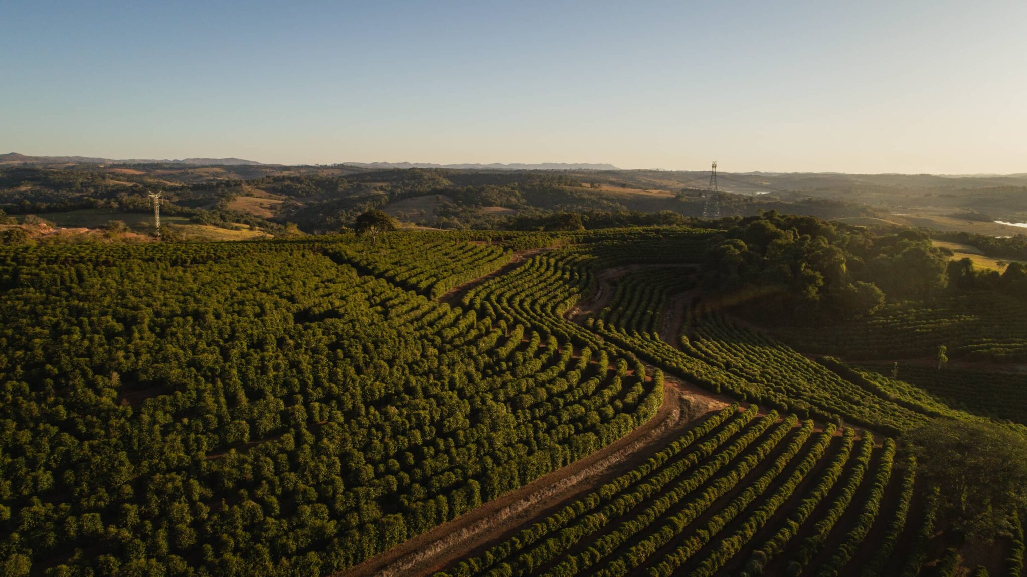 “En la Barra” avec Café 124 - Mare Terra