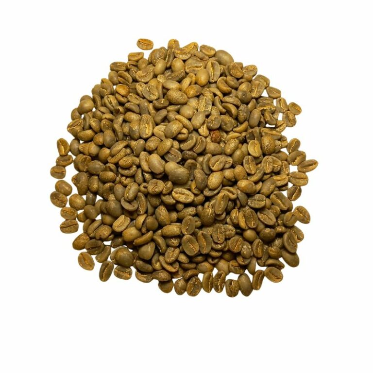 Chamukuy FME - Mare Terra