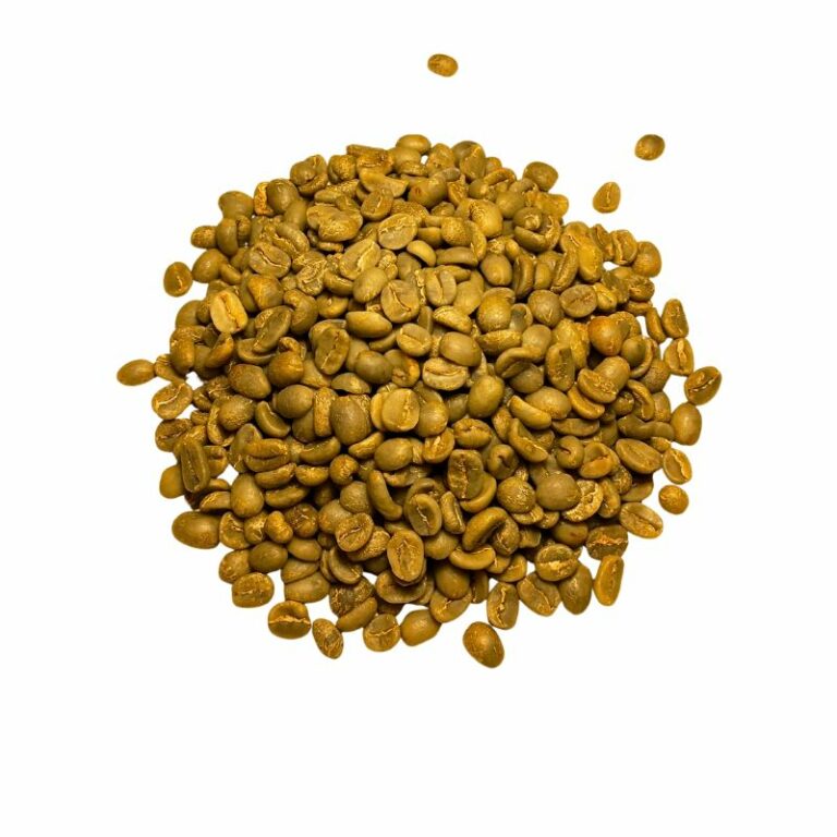 Alcyone FTV - Mare Terra