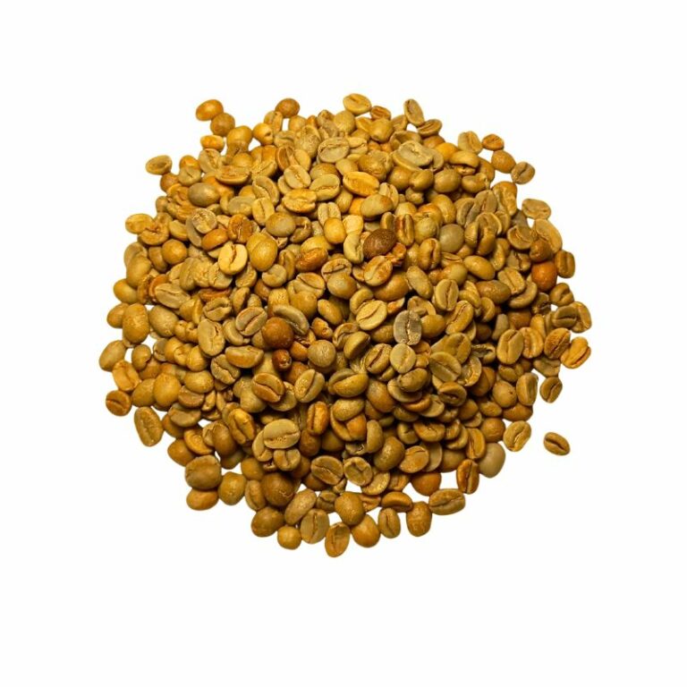 Pleione FME - Mare Terra Coffee